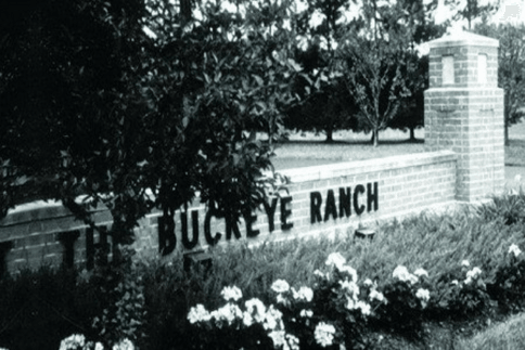 The Buckeye Ranch | See Kids Dream